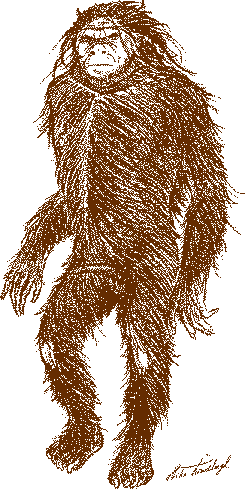 Kriptozoológia: Batutut