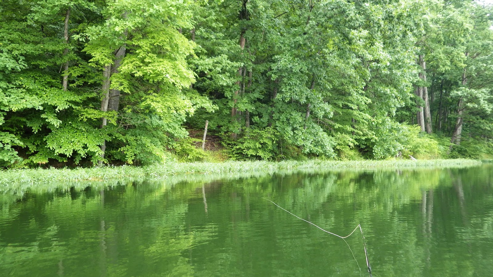 Riffles and Slicks: Non-existent Fish