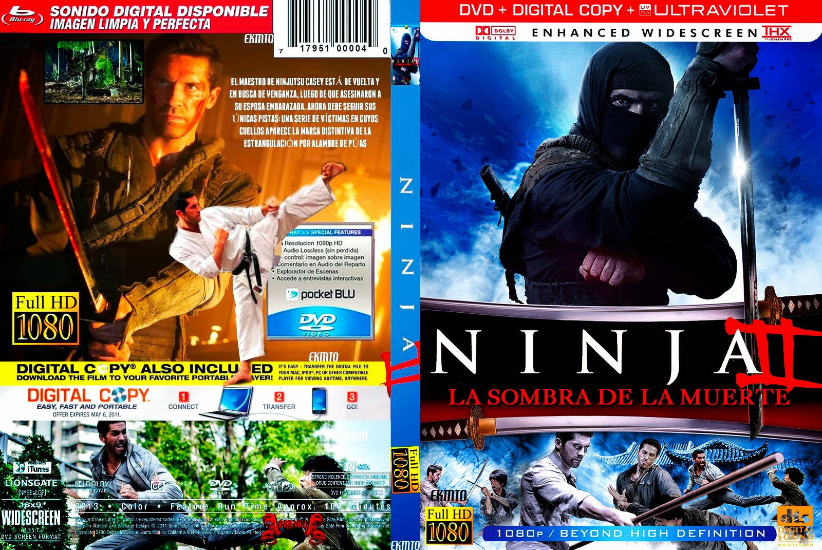 Cover: Ninja Ii - Shadow Of A Tear dvd