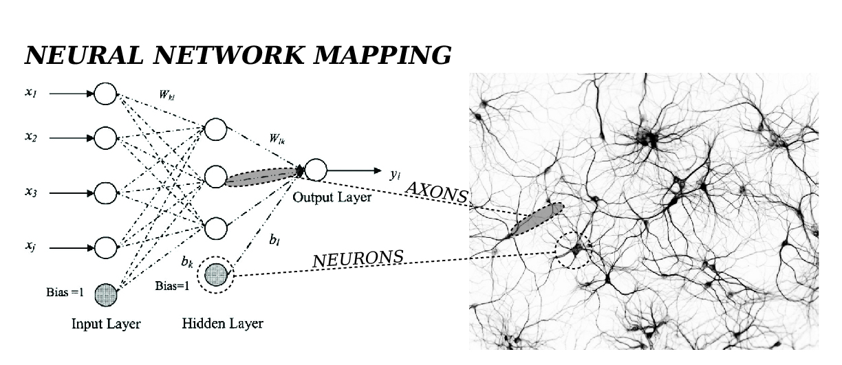 farhan juliyanto: Oktober 2016
