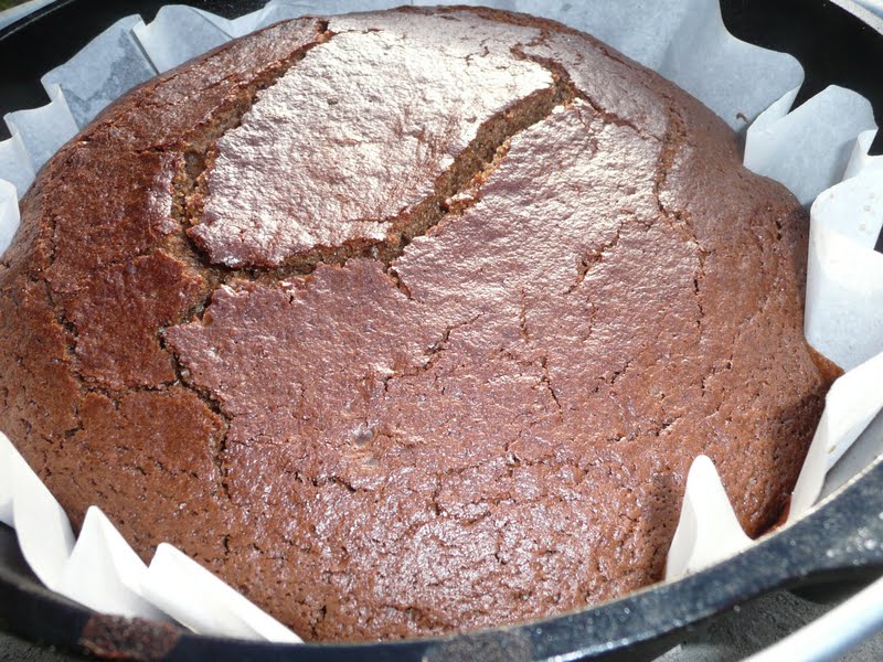 Everyday Dutch Oven: World War II Chocolate Mayonnaise Cake