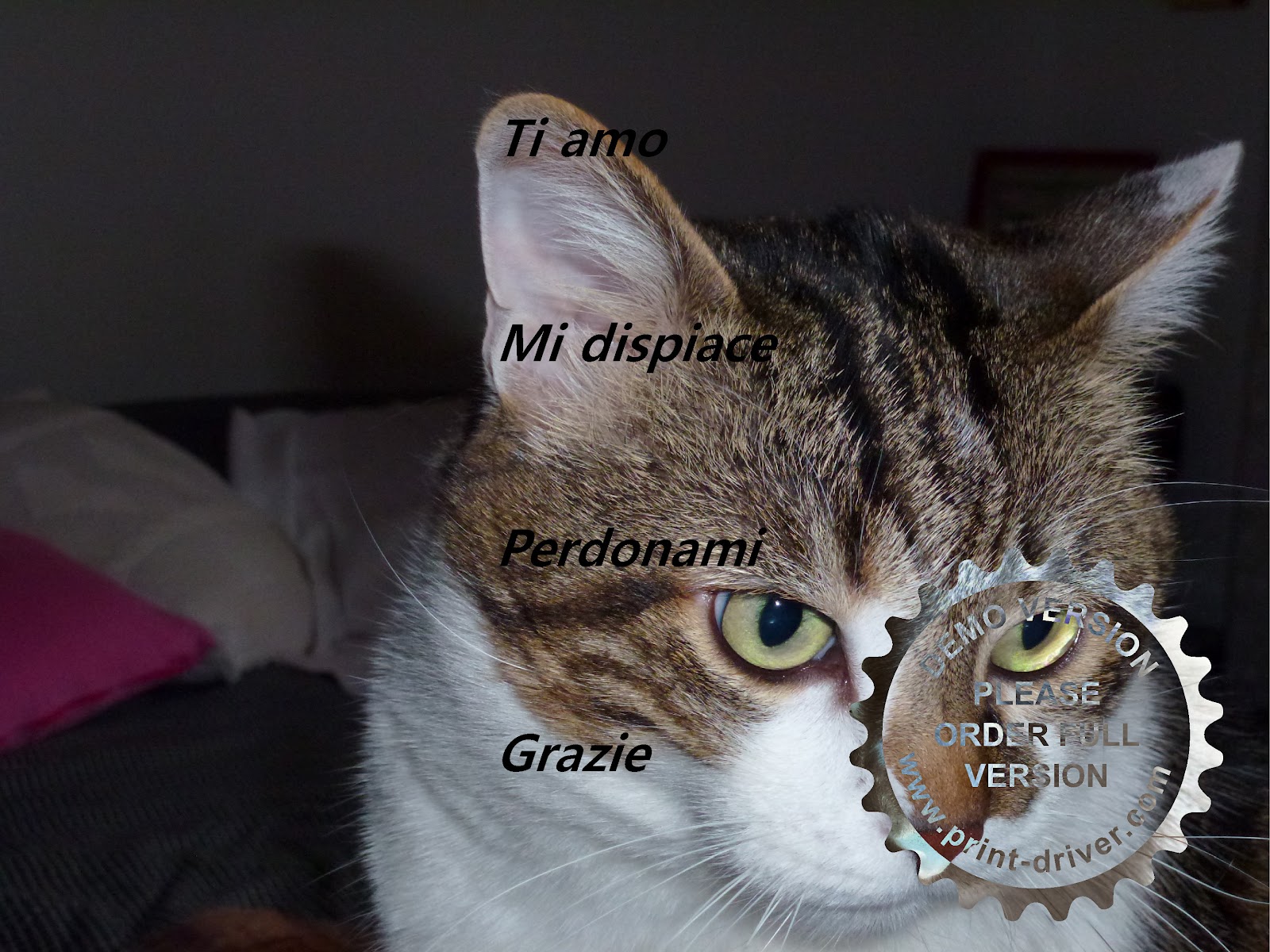 Think it over: Ti amo, mi dispiace, perdonami, grazie - Ho'oponopono ...