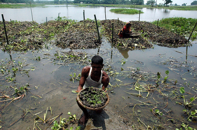 Salt Water : TRADITIONAL FLOATING GARDEN AND MODERN HYDROPONICS ...