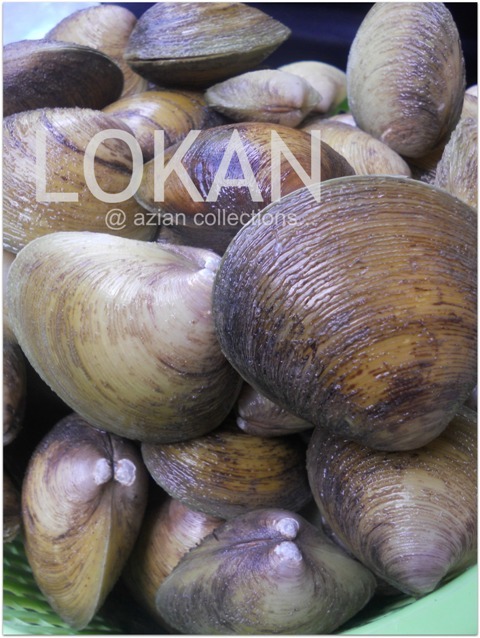 Azian Collections: RENDANG LOKAN
