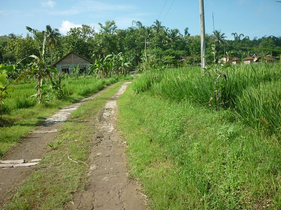 Archives of Aminuddin Aziz.......: Keindahan Desa Wisata Jelok