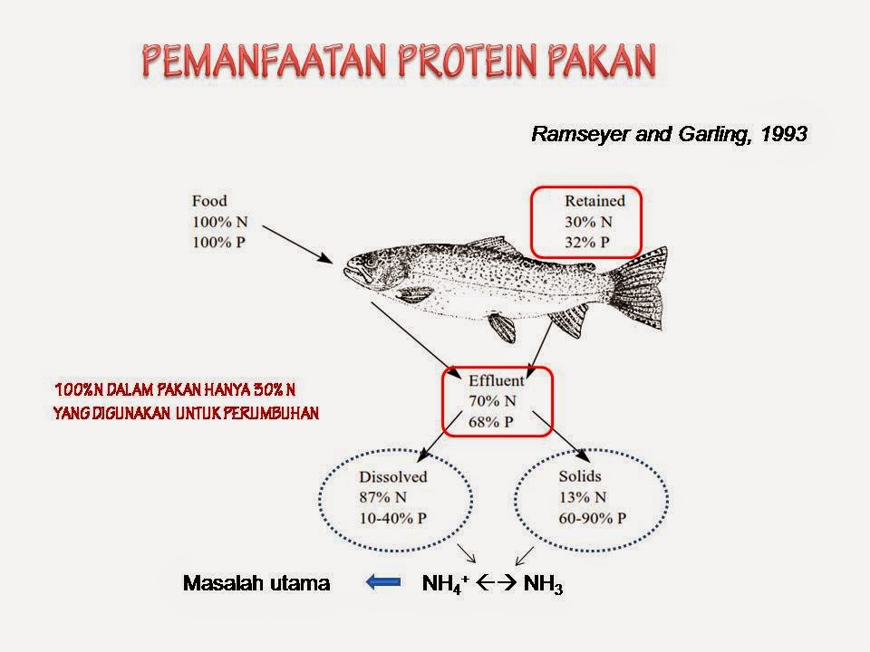 MEDIA PENYULUHAN PERIKANAN BERINOVASI: SOSIALISASI BUDIDAYA IKAN SISTEM ...
