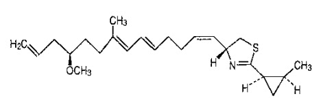 חיידקים, נגיפים, ושאר "ירקות" - בלוג של ביולוג - ד"ר דרור בר-ניר ...
