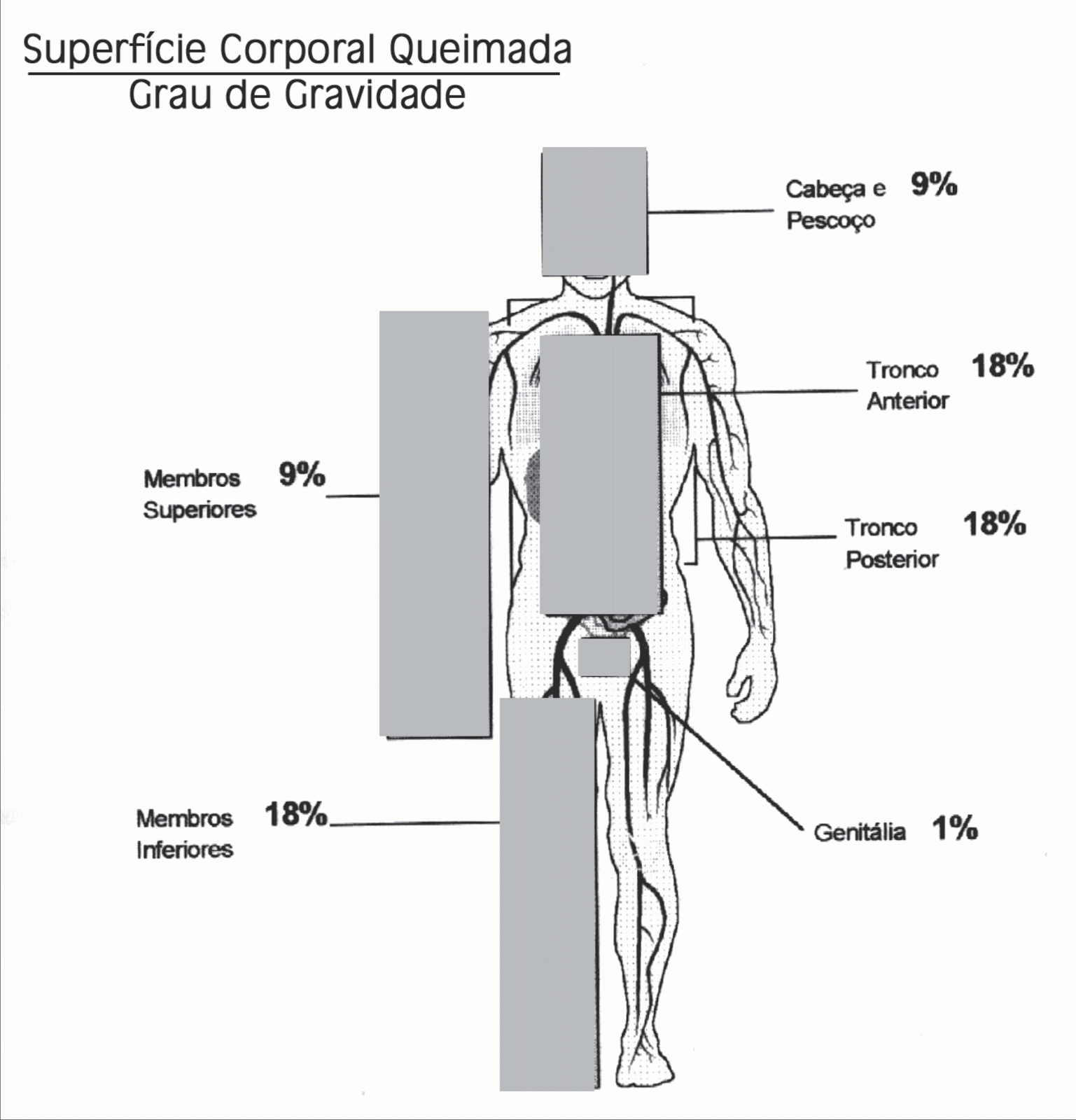 CPMN PRÉ MILITAR: PRIMEIROS SOCORROS