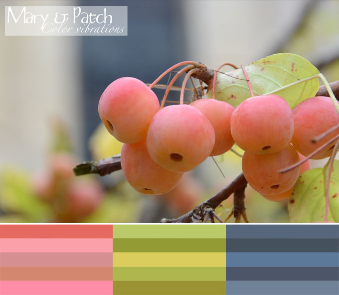 janvier 2015 | Mary & Patch