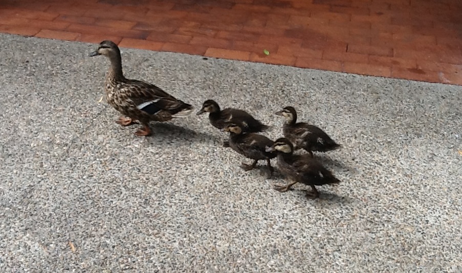 J and L Research and Exploration: Life of a Sailor