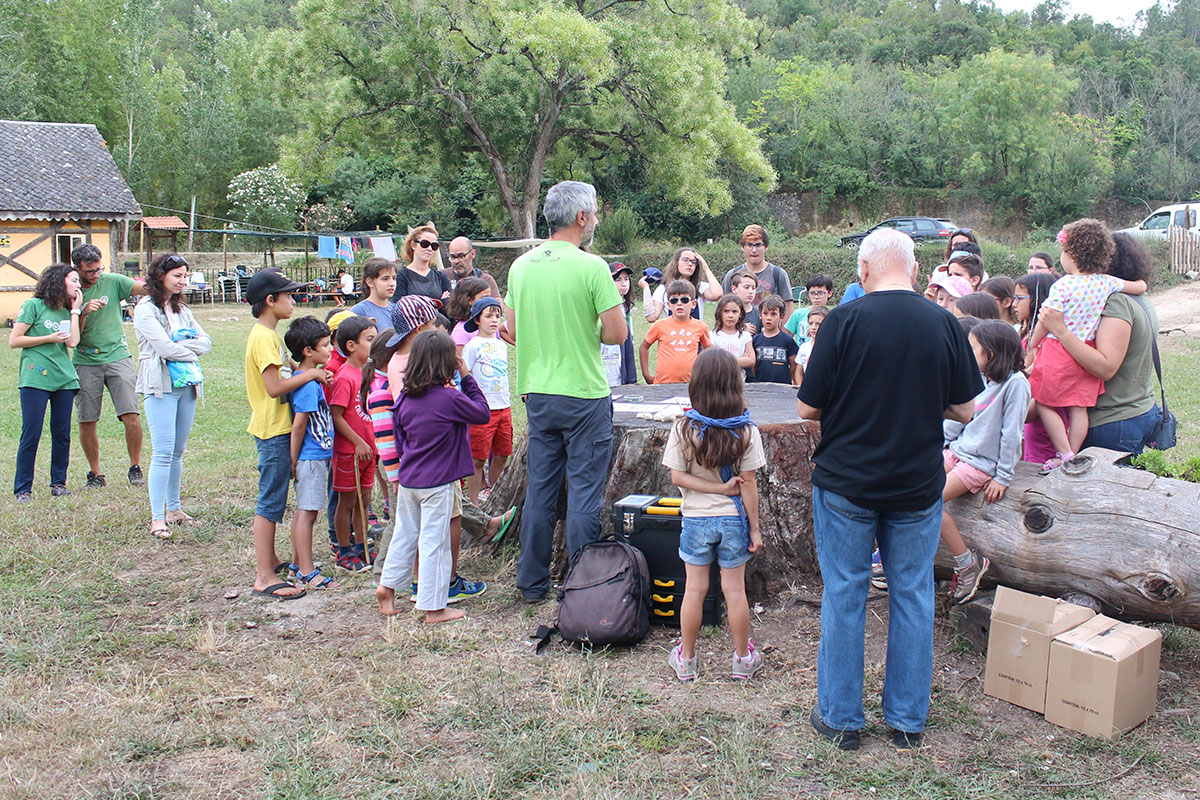 Devolução à Natureza de 2 mochos-galegos em Coimbra