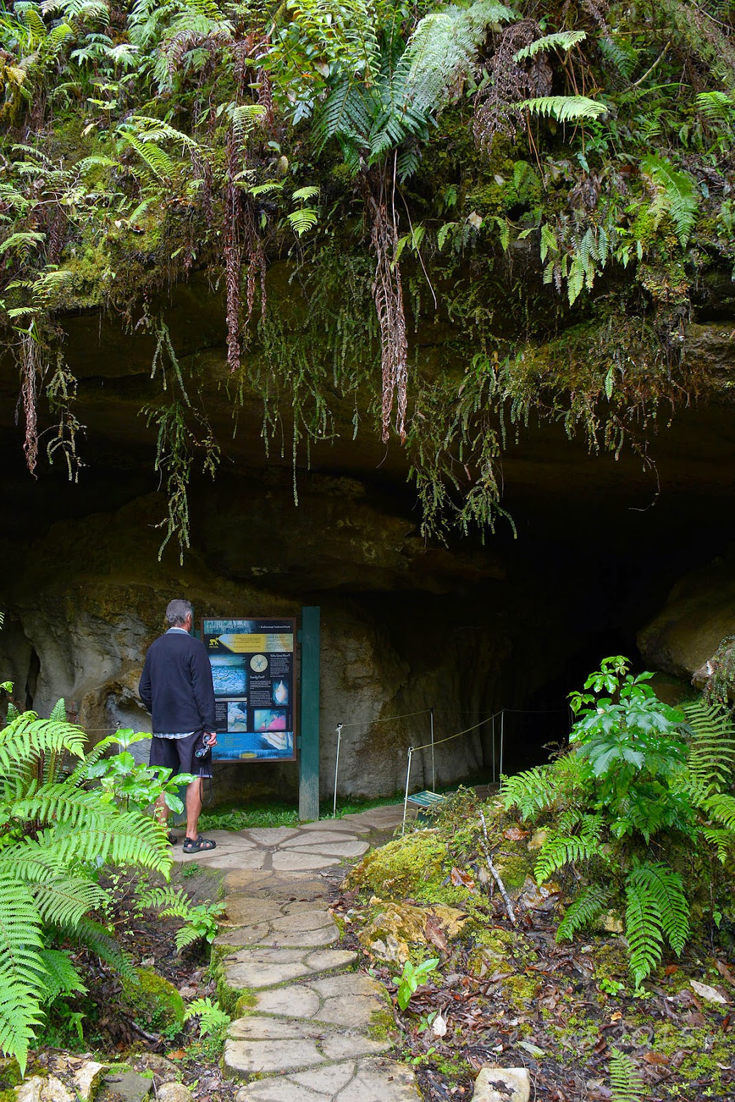 Two Go Tiki Touring: Crazy Paving & Box Canyon Caves- Oparara Basin