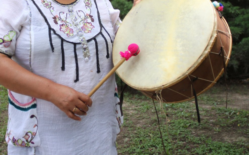 Las bagualas de Salta - Literatura