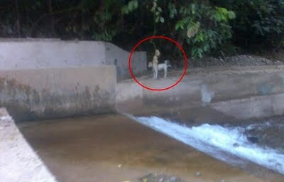 hati: sehari di alam bunian..