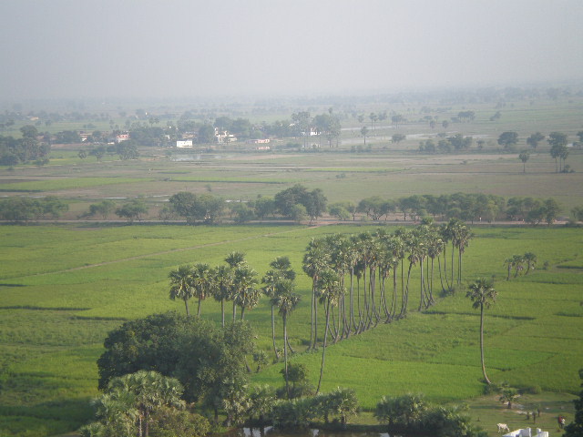 Buddhist Stupa: Sheikhpura, Bihar, India