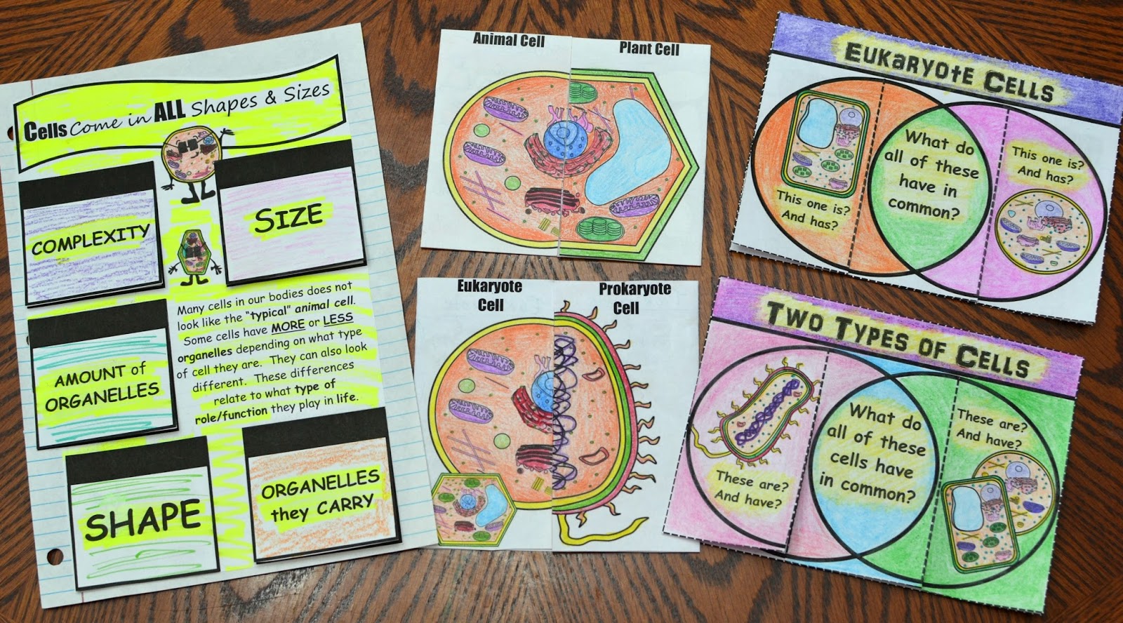 Math in Demand: Science Interactive Notebook - Cells
