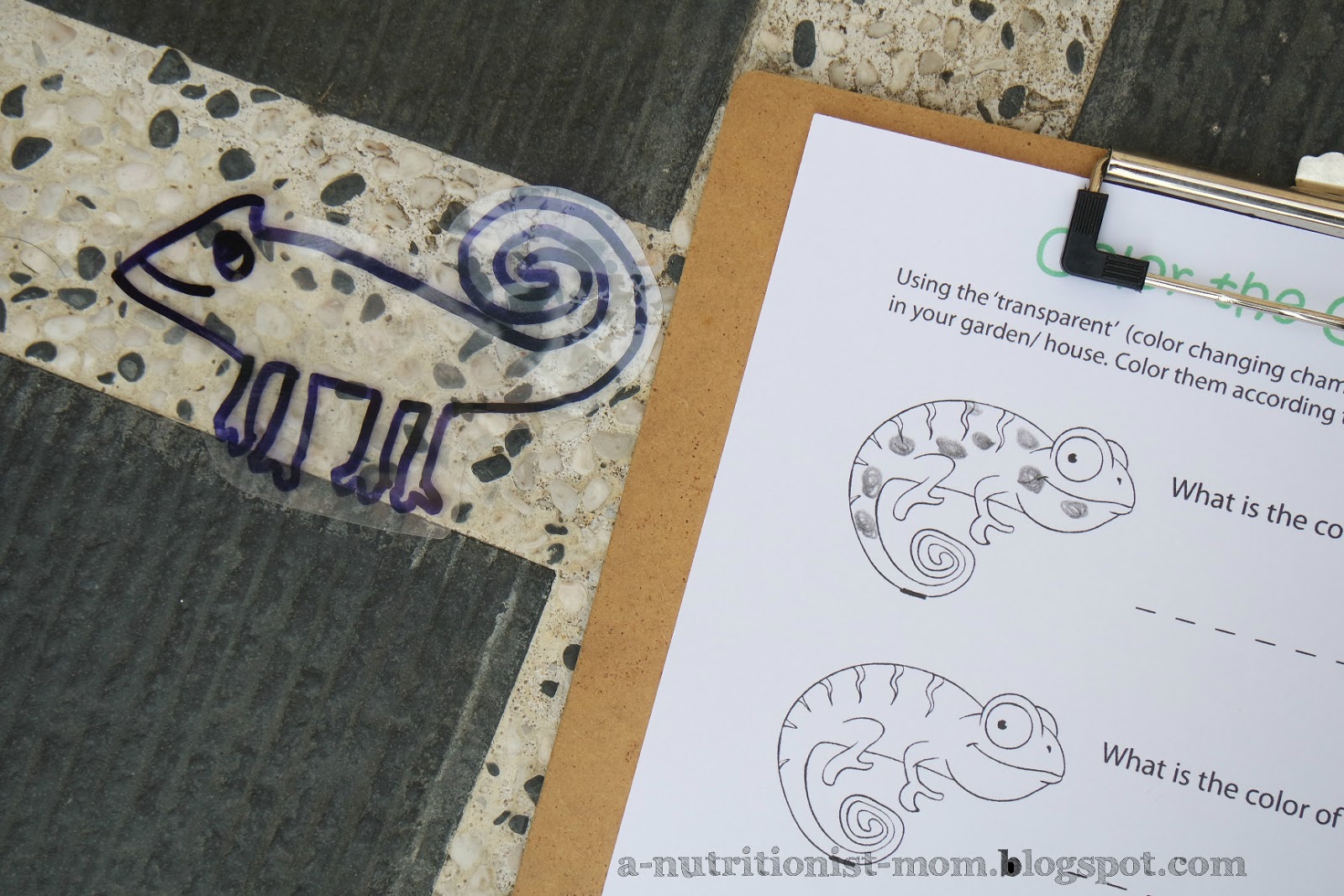 Journal of a nutritionist mom : Toddler's Book: A color of his own ...