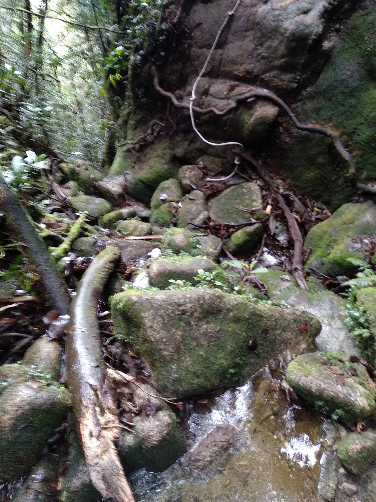 Live, where your heart finds life ツ: Gunung Rajah via Chamang/Bentong ...