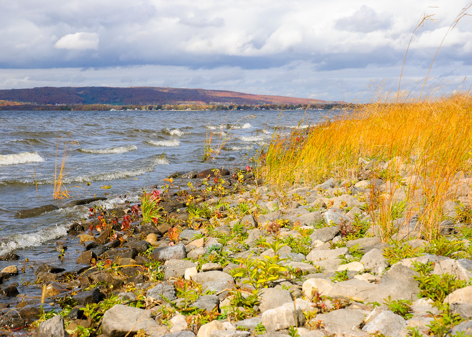 Arbres des parcs-nature et boisés de Montréal: Automne au Cap Saint-Jacques