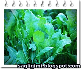 Sağlıklı bir yaşam için Tüyolar Bilgiler....