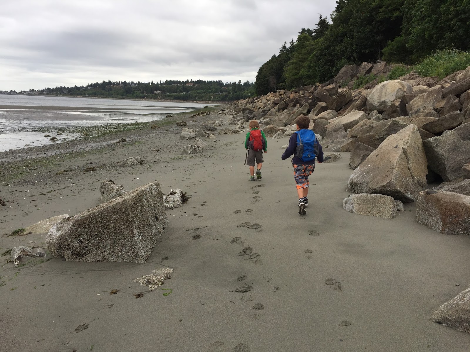 Urban Hike: Innis Arden Beach Trail
