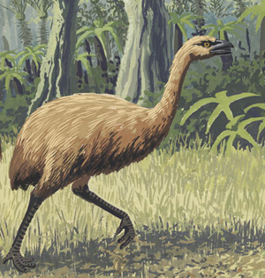 Eve Opportunist: From mehgle to EAGLE!