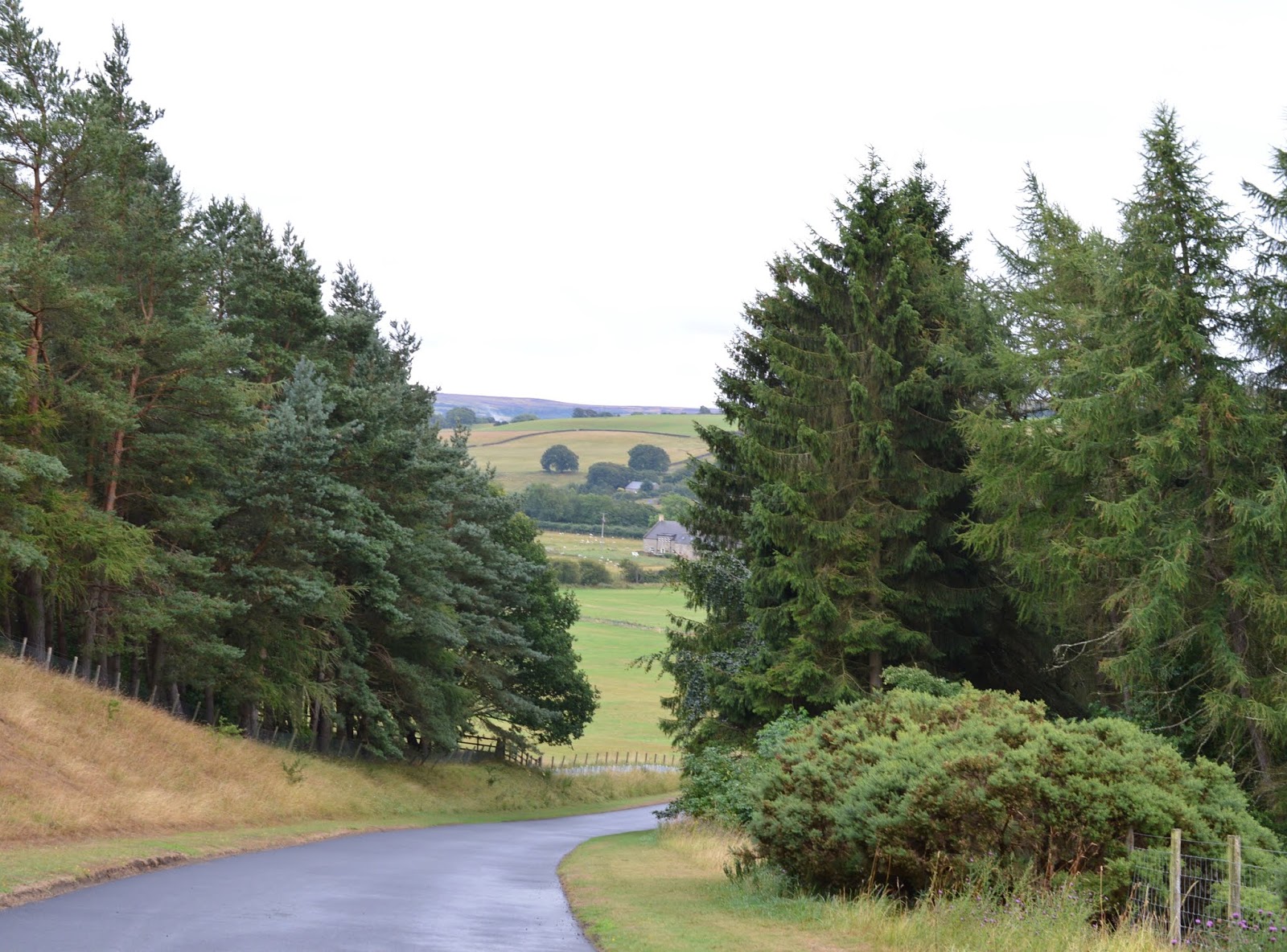 FREE Nature Trail at Derwent Waterside Park, Consett | North East ...