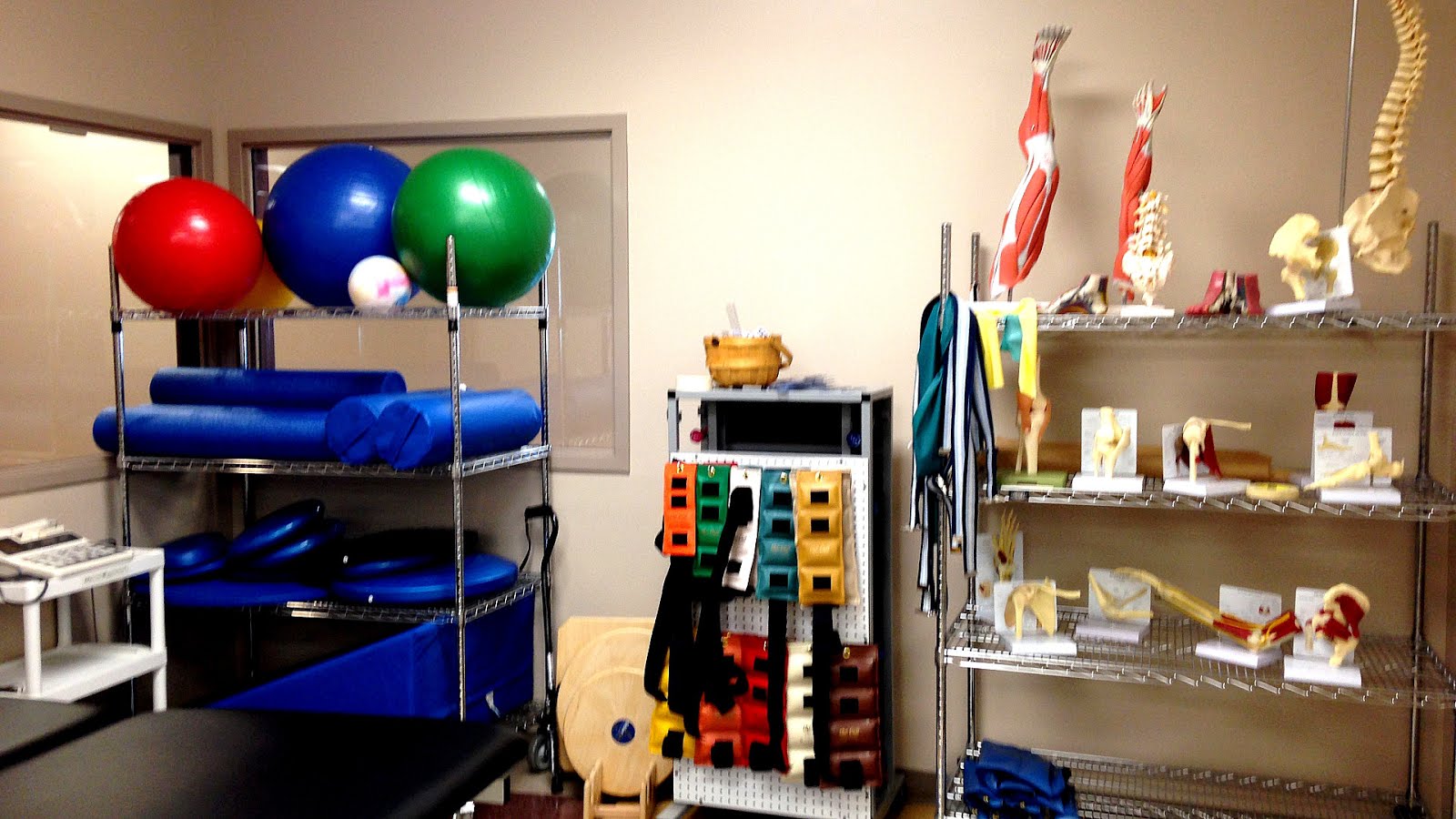 Physical Therapy Assistant Courses Online Assistant Choices physical-therapy-assistant-courses-online-assistant-choices