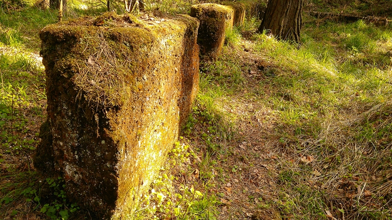 Ostra Góra na piaskowym szlaku