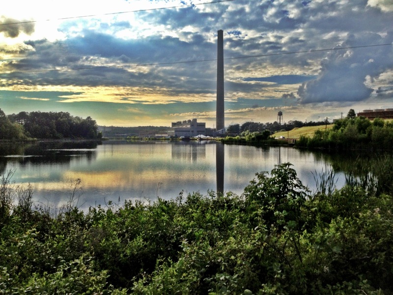 The Walking Shin Report: Season 4 - New Location: Plant Yates + pics