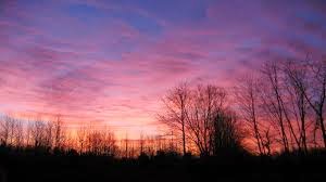 Thoughts of an Aussie Litho Pagan (Romuvis): Discovering the Spirit of ...