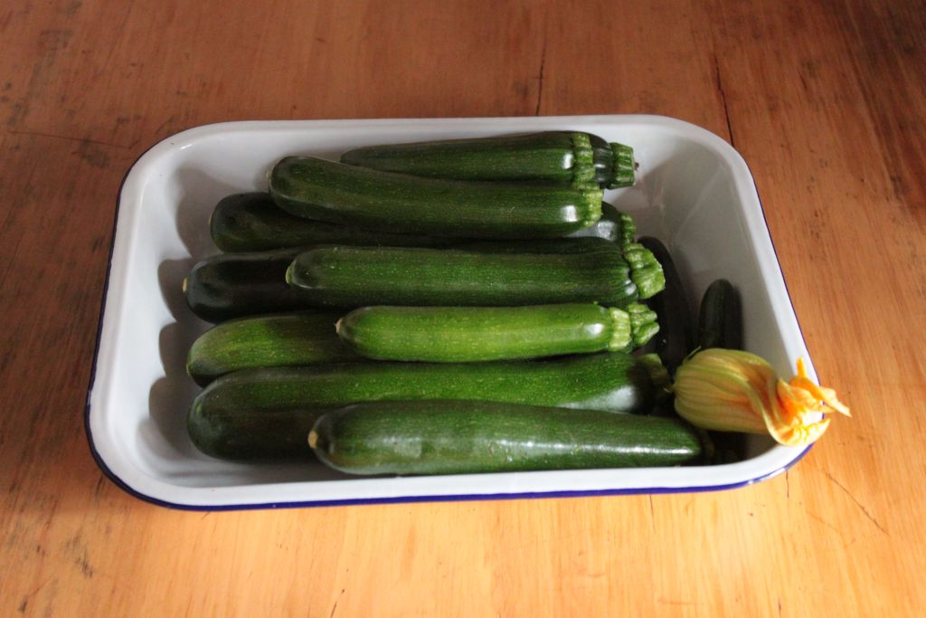 Towerwater Aan De Breede: My baby marrows are growing up