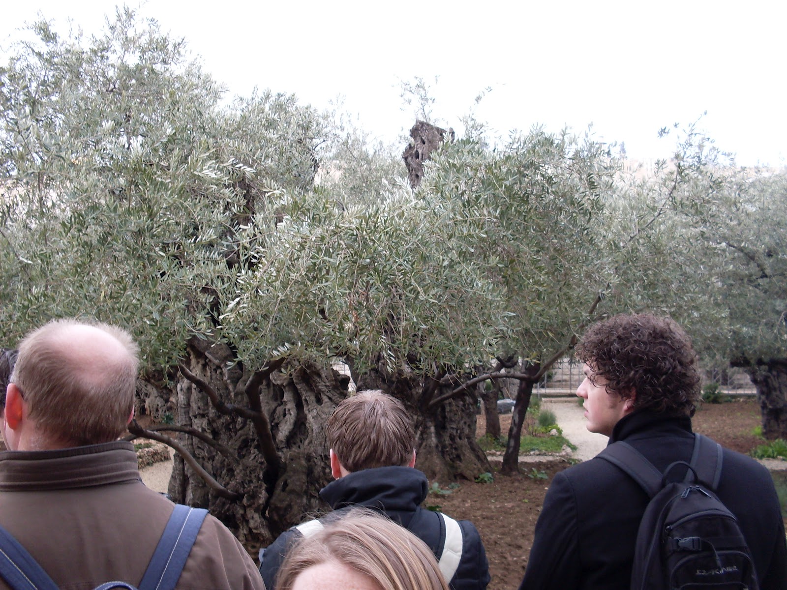 TUA Israëlreis 2012