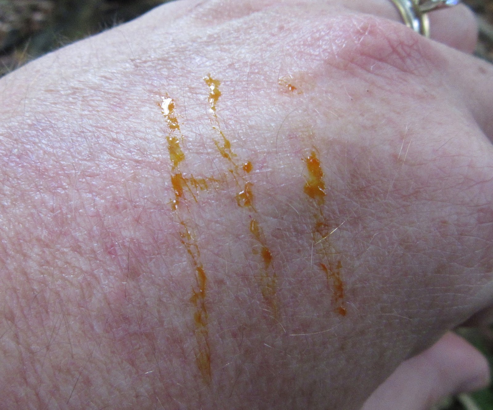 Bug Mad Girl: A week of weird and wonderful fungi for UK Fungus Day