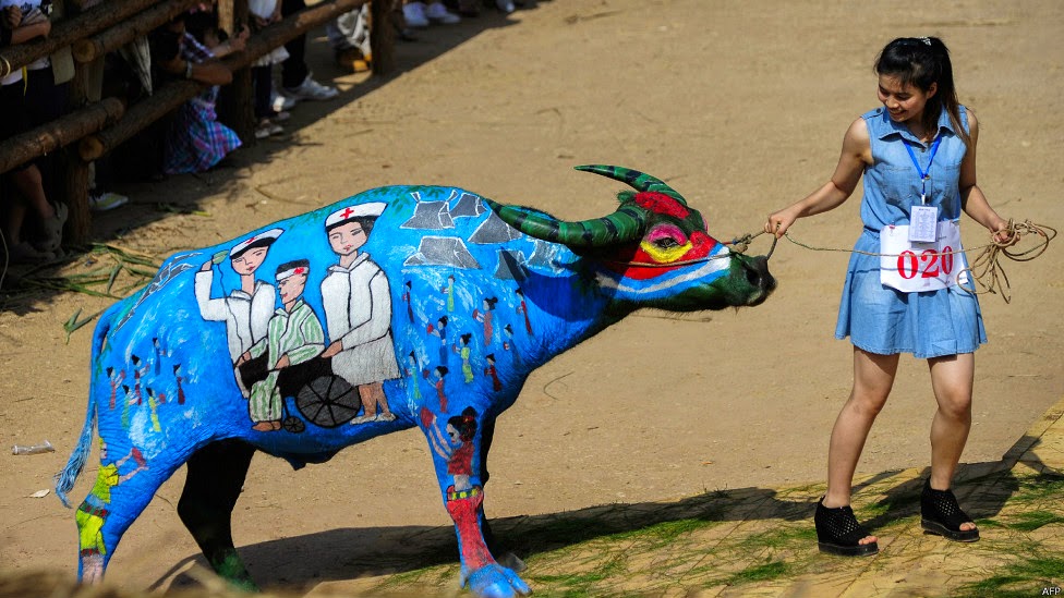 Buffalo body painting gallery - Just see the beast canvas