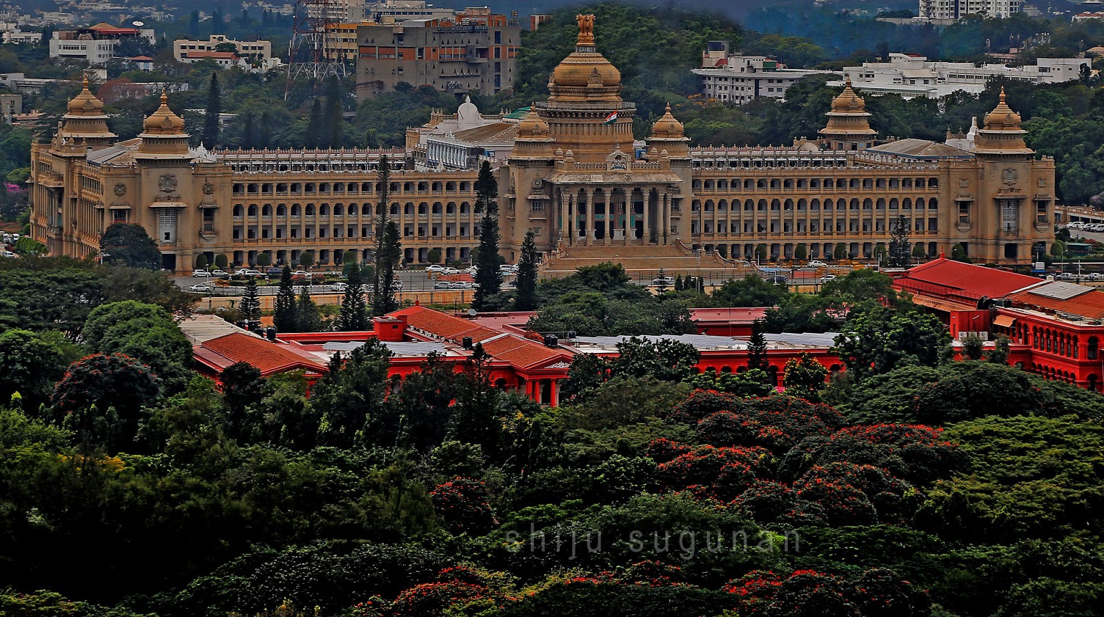 Cranium Bolts: A fun morning at Cubbon park, Bangalore