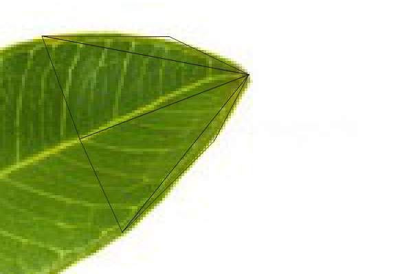 how to create triangulation art in coreldraw - graphicRP