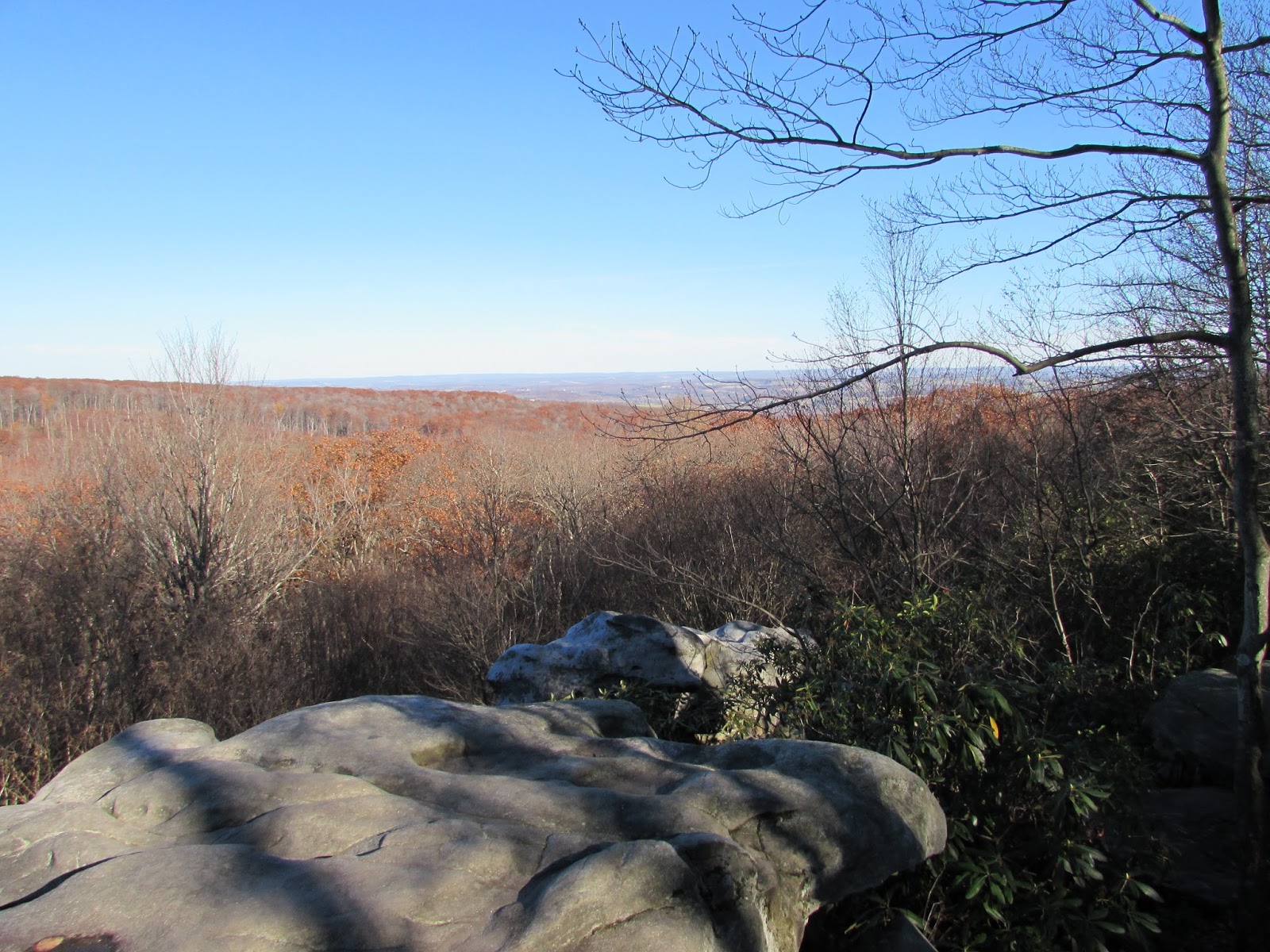 Beam Rocks Overlook Hike and Linn Run State Park, Laughlintown, PA ...