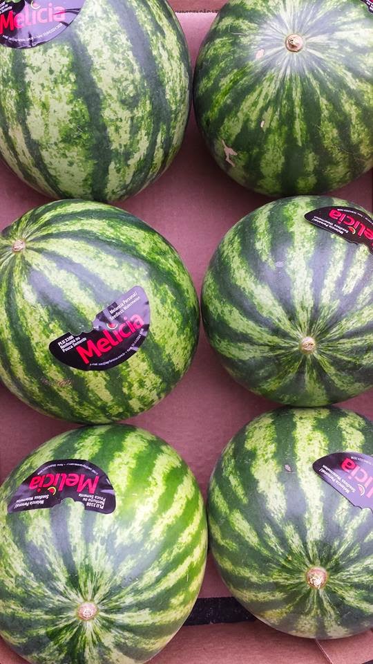 Camillos Frutas e Companhia: MELÕES & COMPANHIA