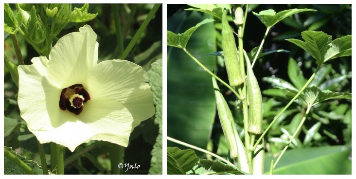 Ningún lugar está lejos... en RD: 2017