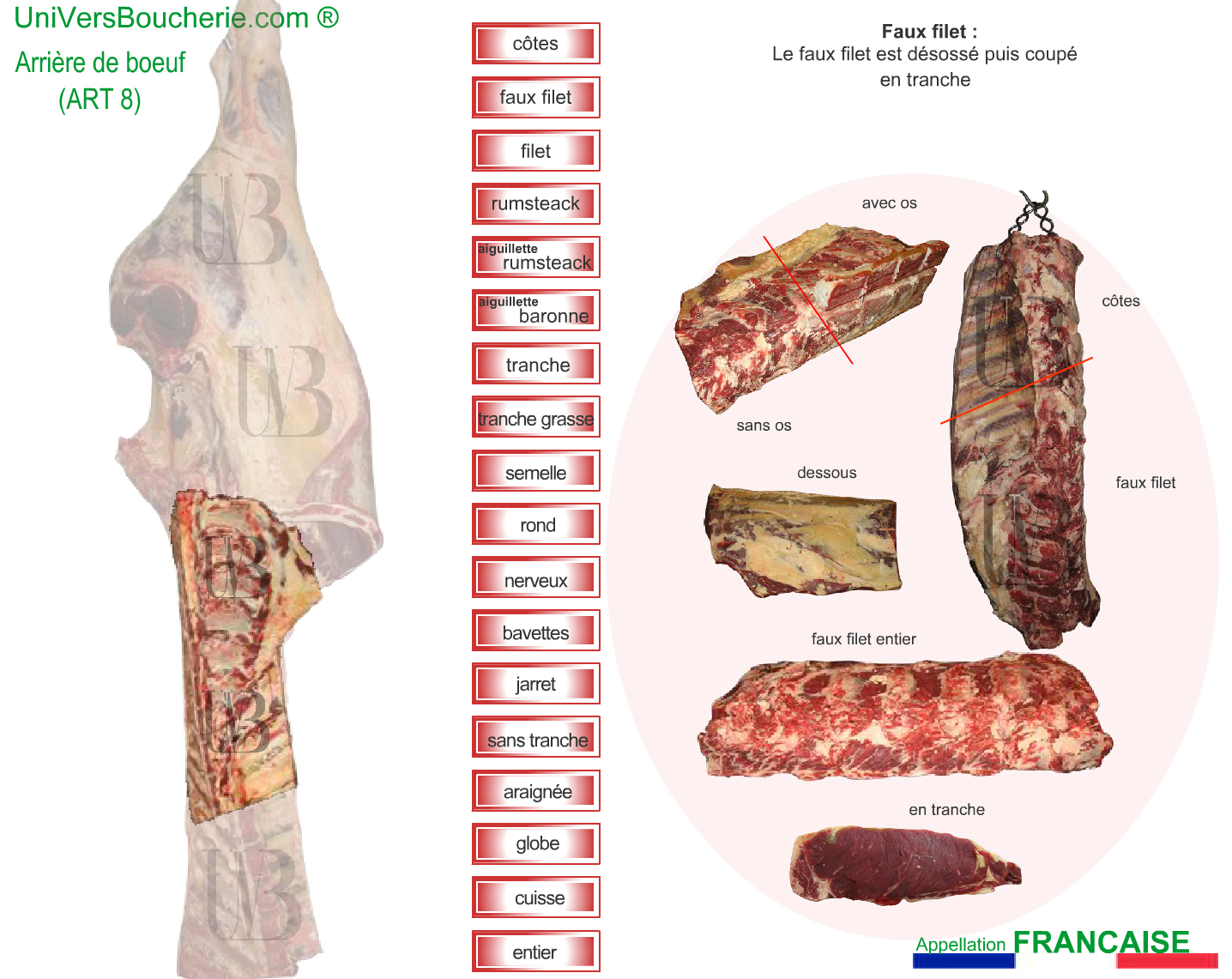 Carne bovina - cortes (II)