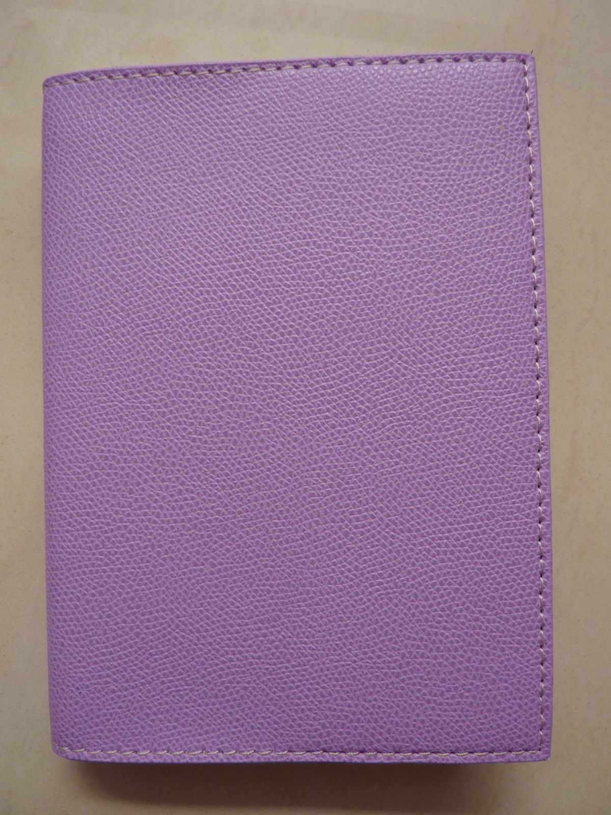 Plannerisms: Daily Diary Decision