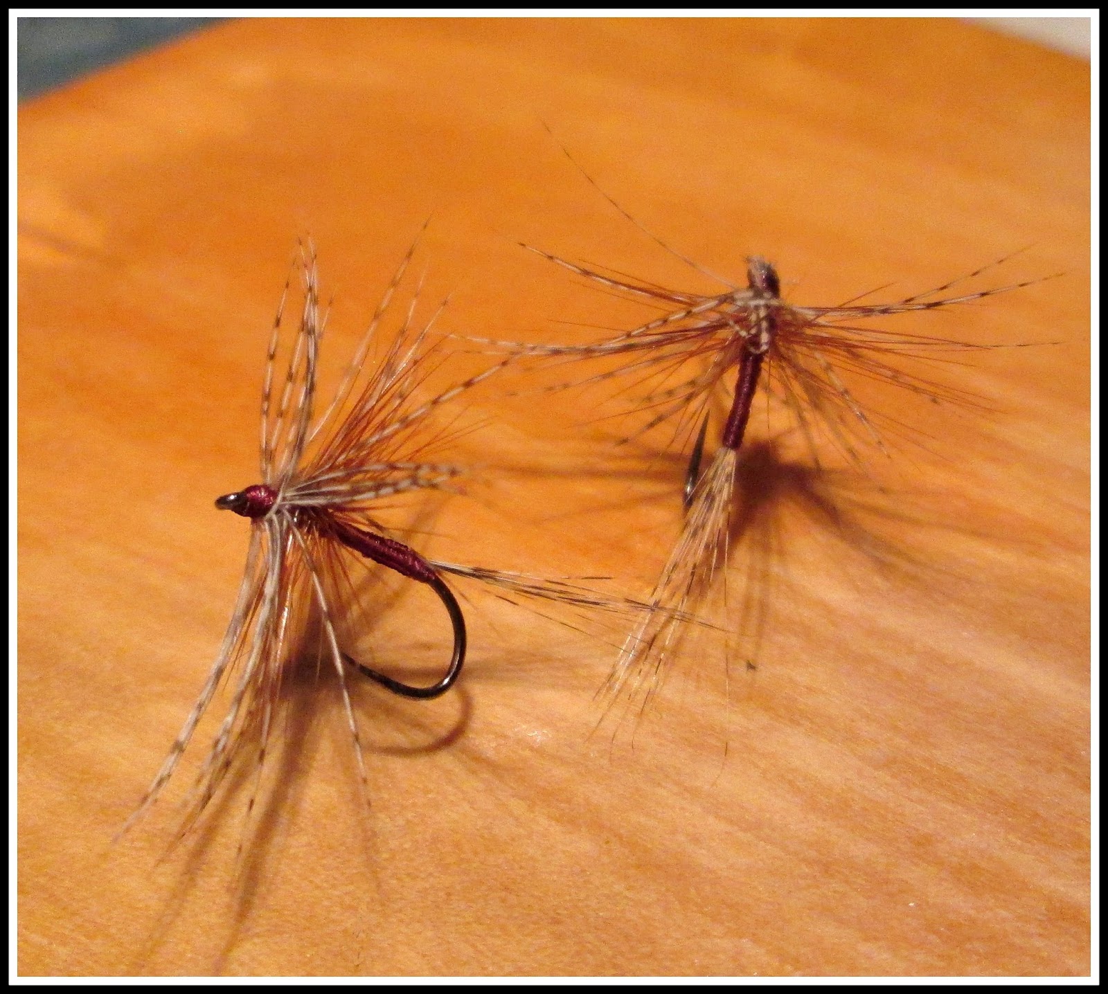 The Flee, Float & Foto: Jinglers all the Way