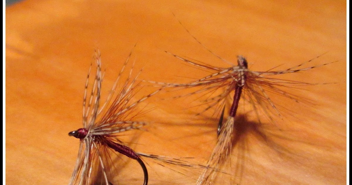 The Flee, Float & Foto: Jinglers all the Way