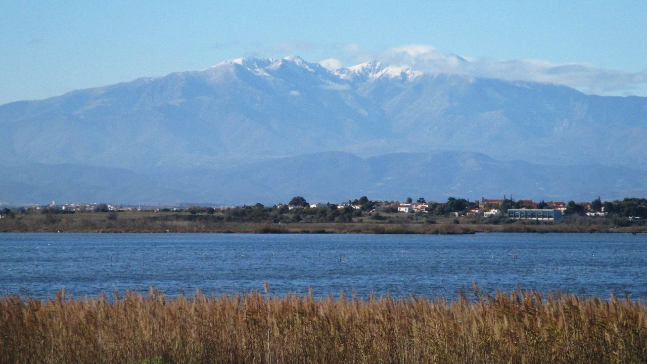 Bici-Vici: Volta per la plana del Rosselló: de Perpinyà a la Platja de ...