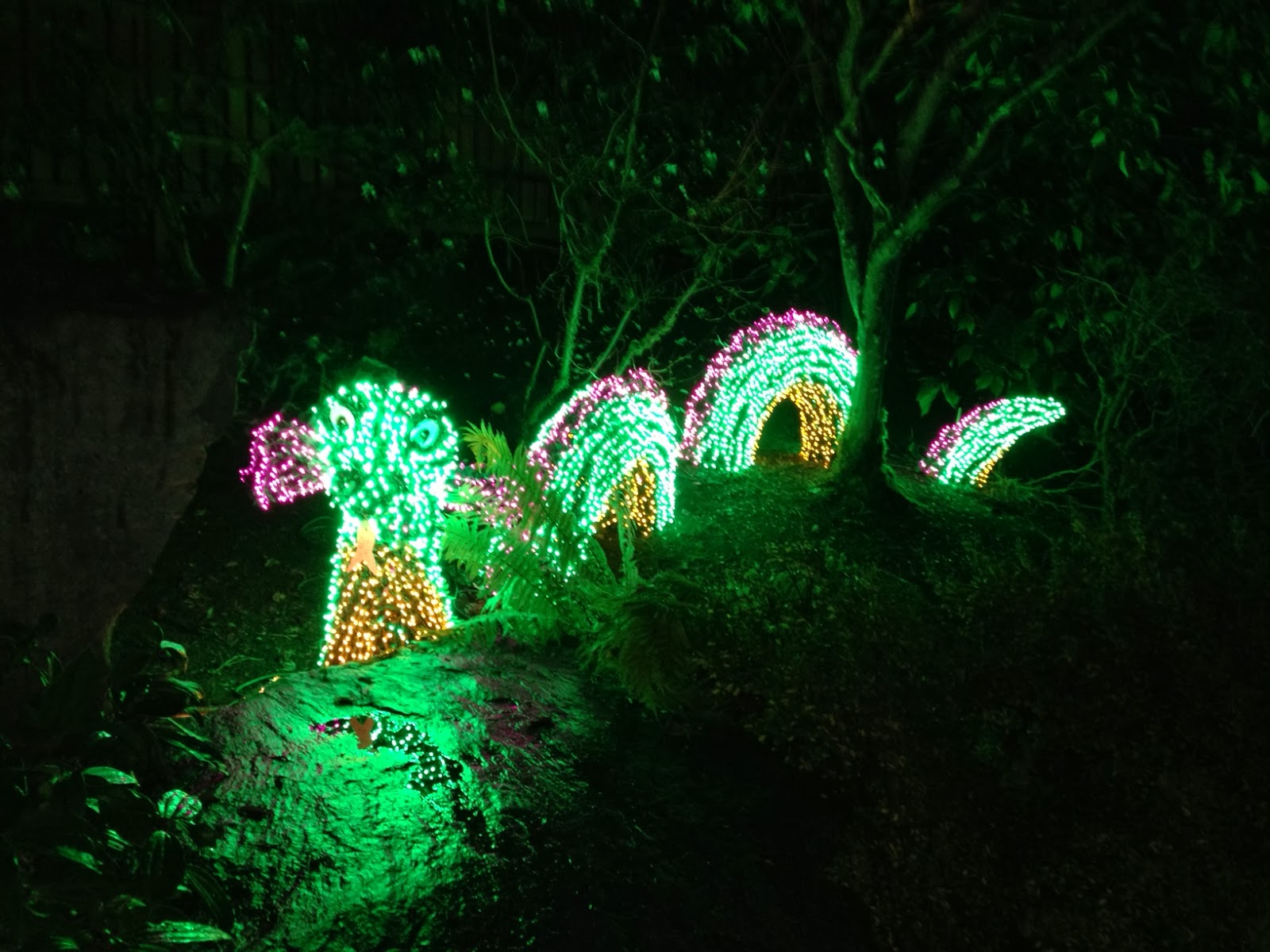 Western Washington Families : Garden D'Lights at the Bellevue Botanical ...