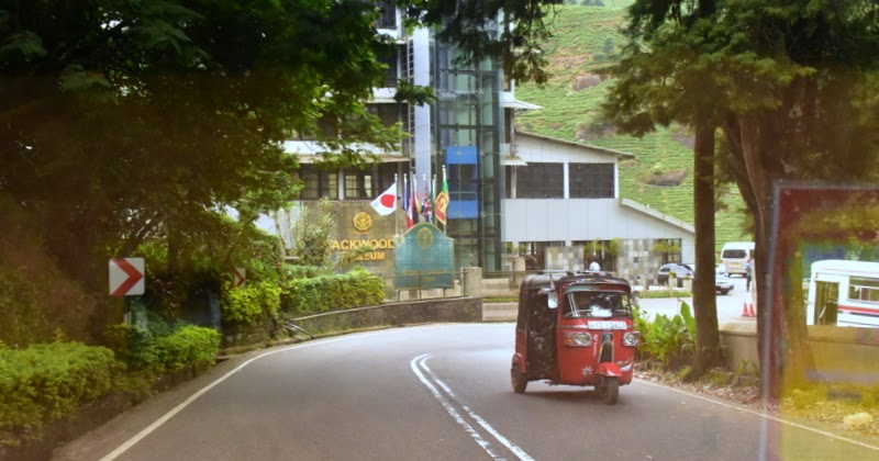 Images of Sri Lanka on blogspot.com: Labukele tea factory premises, Sri ...