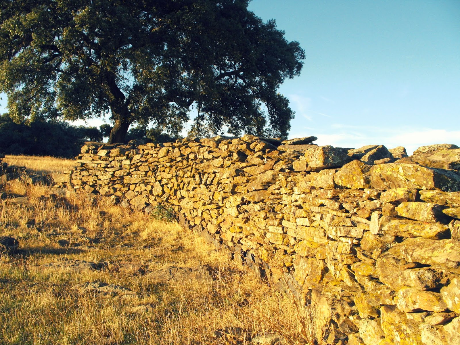 APRISCO DE GANADO - COLMENAR DE LOS GUERREROS | PATRIMONIO MATERIAL