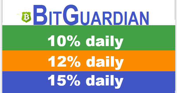 Bitcoin FORUM: BITGUARDIAN investment review