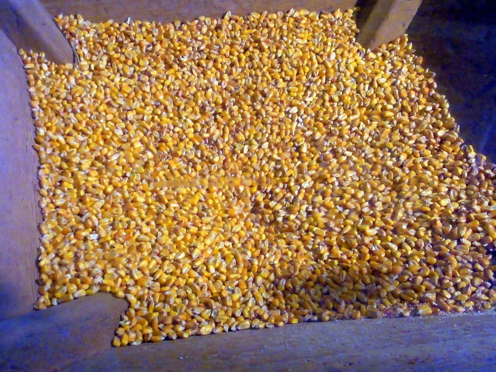 Joe's Retirement Blog: July 2011